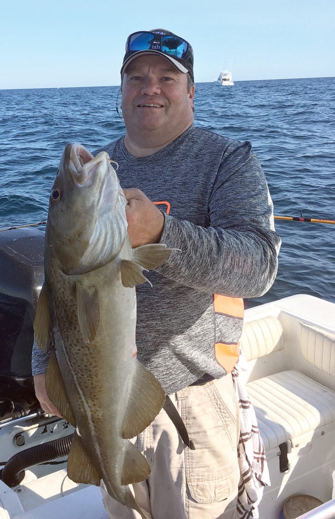 Coxes Summertime Cod - The Fisherman