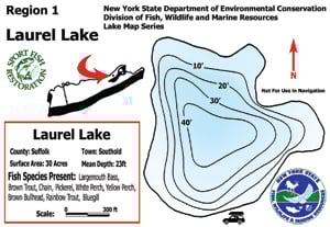 LAUREL LAKE - The Fisherman