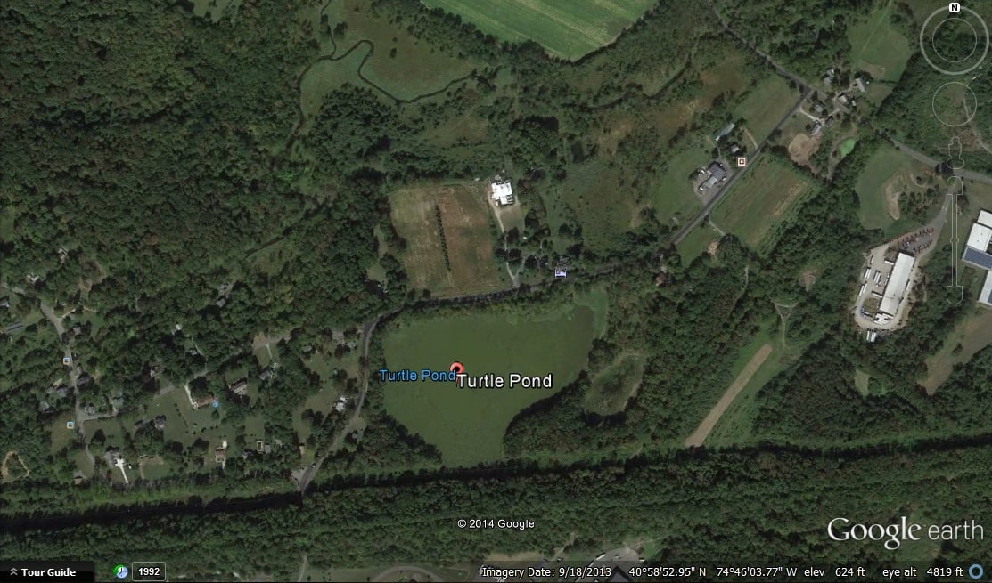 GREEN TURTLE POND - The Fisherman