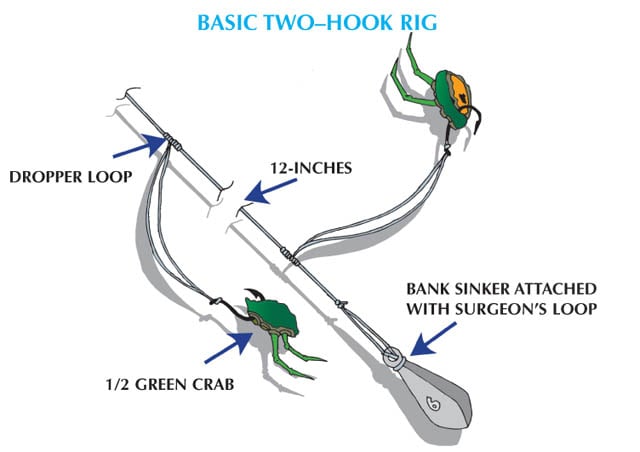 Blackfish - Basic Two-Hook Rig - The Fisherman