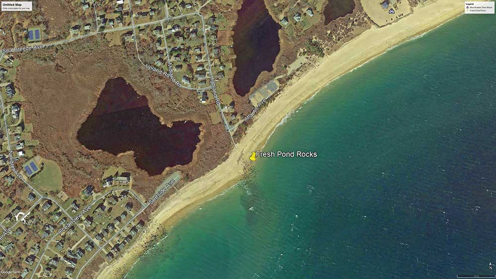 Fresh Pond Habs - The Fisherman