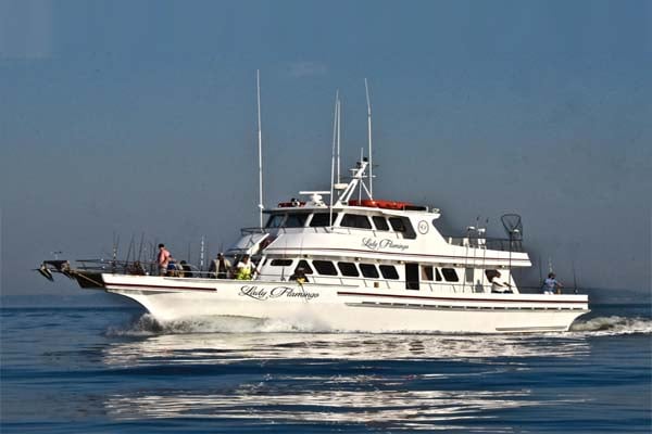 Lady Flamingo Archives - The Fisherman