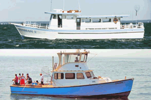 Capt. John's Sunbeam Fleet Archives - The Fisherman