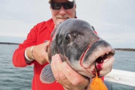 Toby Lapinski, Author at The Fisherman