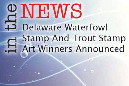 Delaware Waterfowl Stamp And Trout Stamp Art Winners Announced - The ...