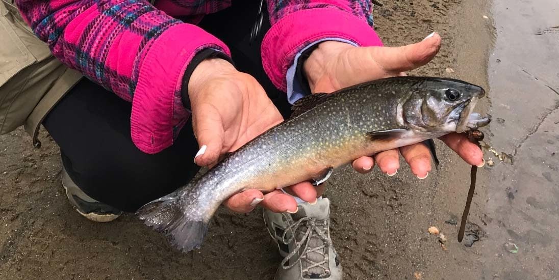 Freshwater: Why Inflate Your Bait? - The Fisherman