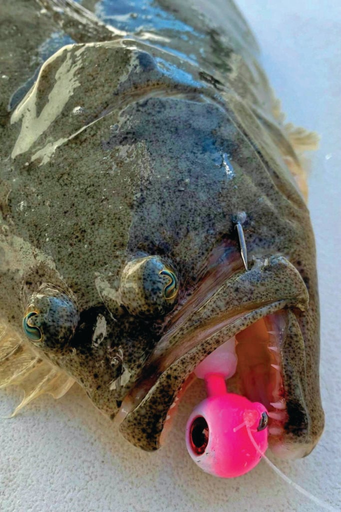 ON THE MOVE: LIVE-STICKING SURF FLUKE - The Fisherman