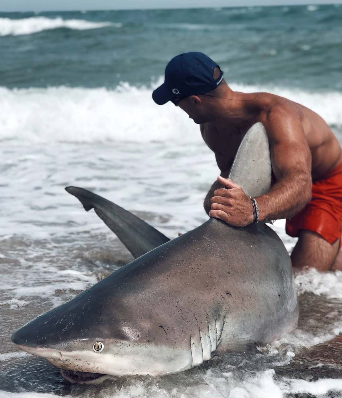 A “Reel” Challenge: Catching A 100-Pounder - The Fisherman