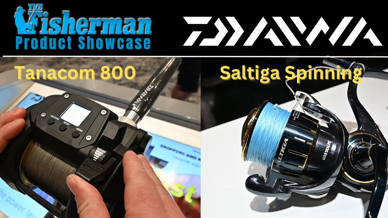 Product Review - Daiwa's Tanacom 800 & Saltiga - The Fisherman