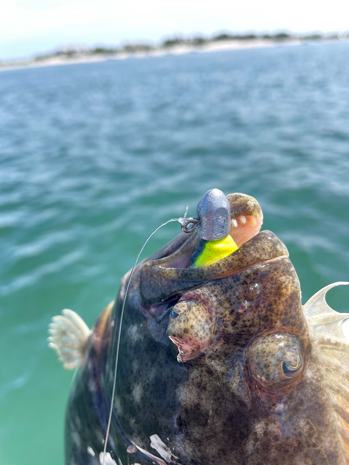 Inshore: Jigheads For Fluke - The Fisherman