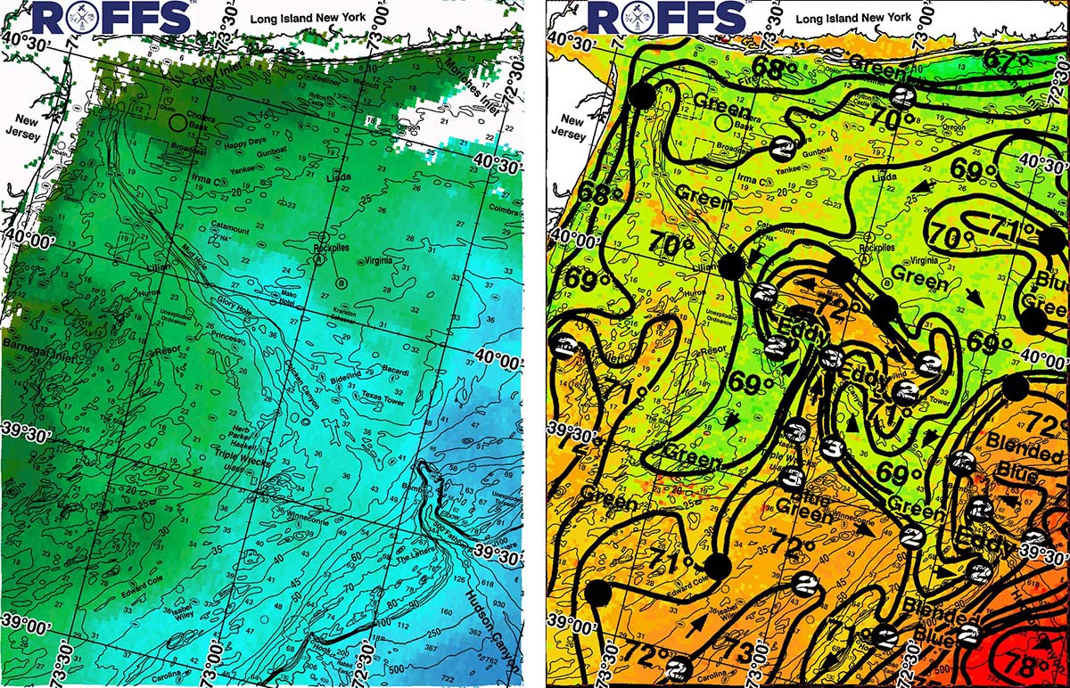 Mahi Mayhem: A Taste Of The Tropics, Close To Home - The Fisherman