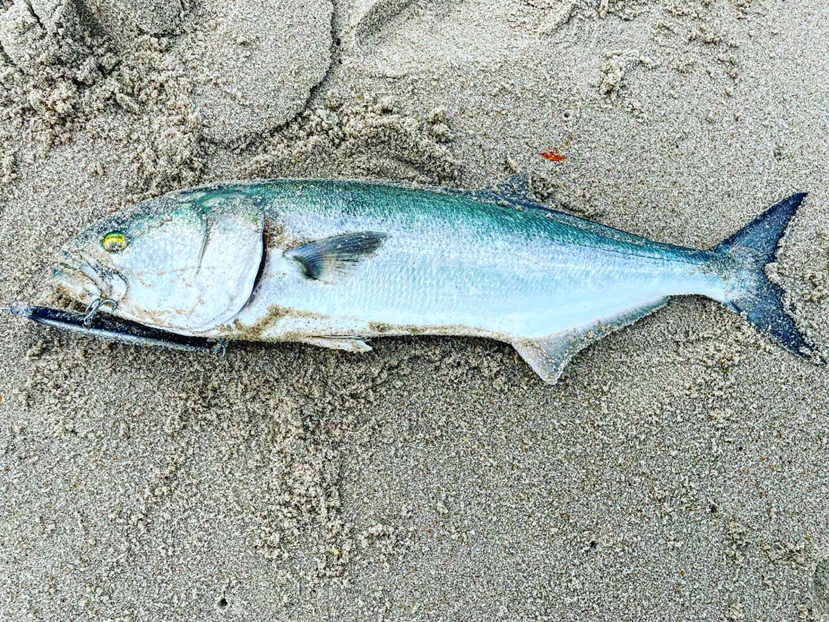 Fall Surf Essentials: Whats In Your Surf Bag? - The Fisherman