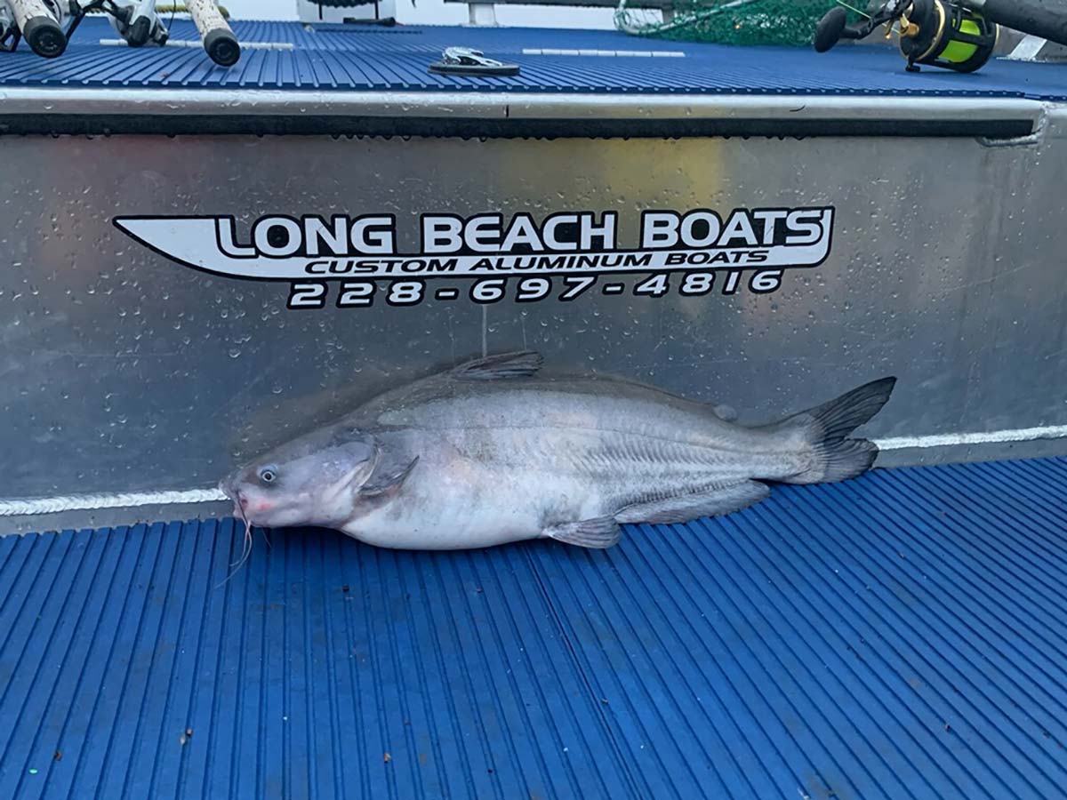 River Monsters: Tangled Up In Blue (Cats) - The Fisherman