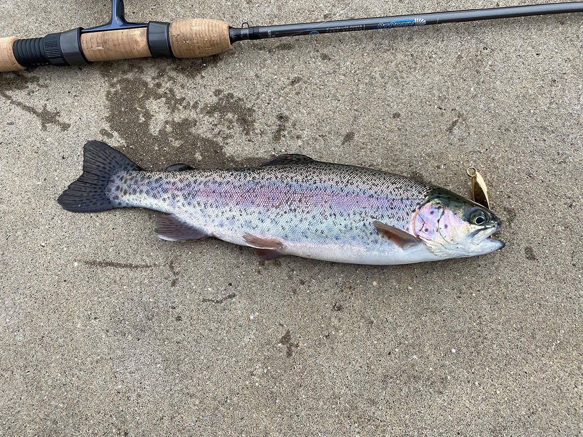 Winter Freshwater Series: New Life At Canaan - The Fisherman