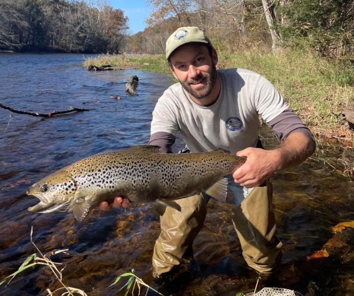 Atlantic Salmon River Connecticut Sheepscot River Hypothesis #1