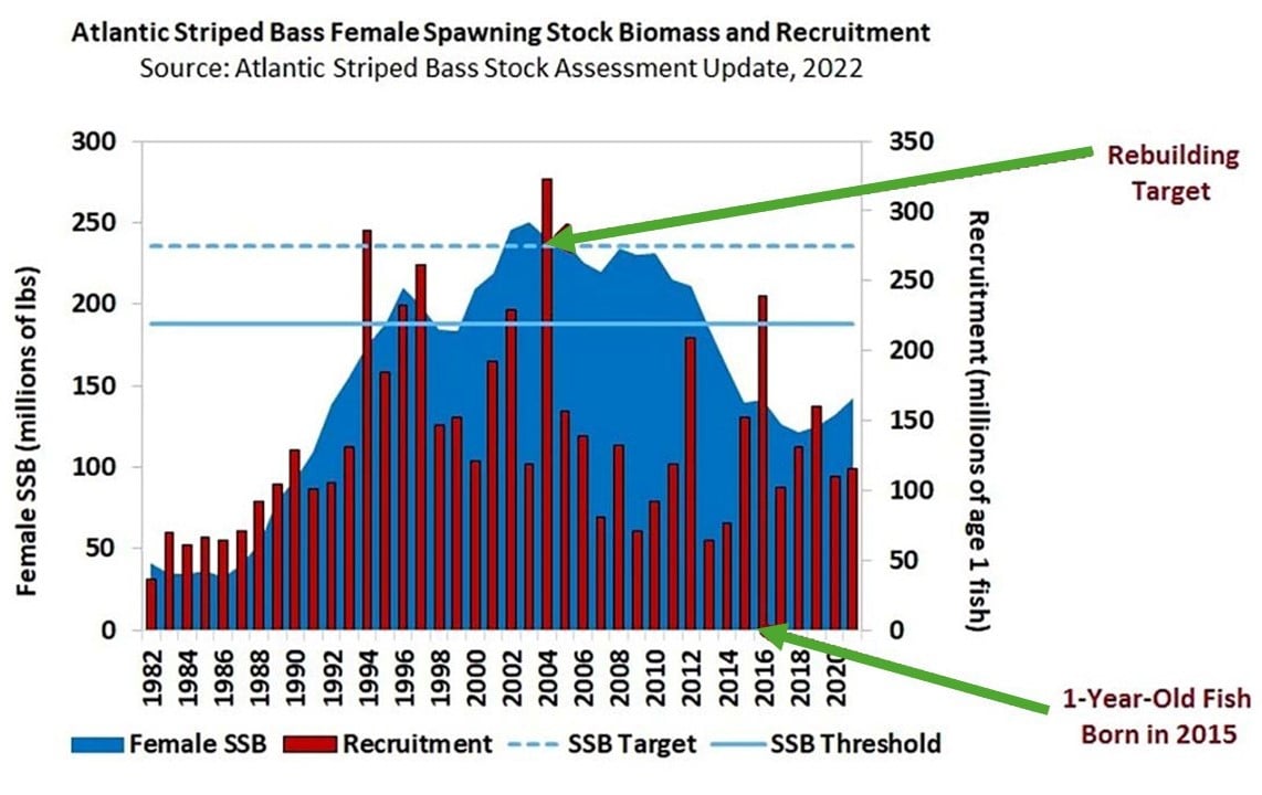 STRIPER MANAGEMENT: THE DEVILISH DETAILS IN 3 SIMPLE CHARTS - The Fisherman