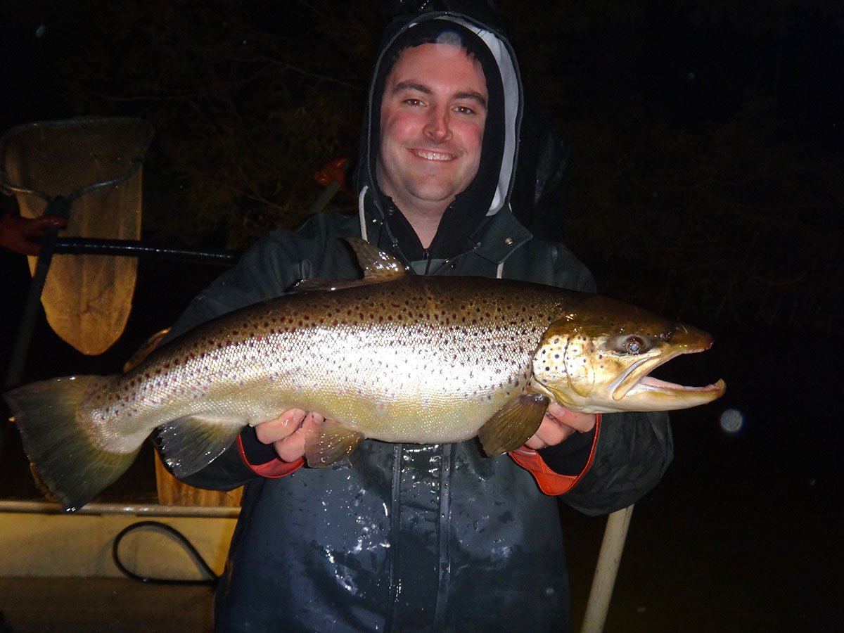 Brown Notes: Return Of The Seeforellen - The Fisherman