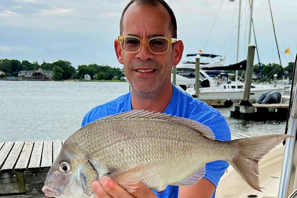 Porgy Archives - The Fisherman