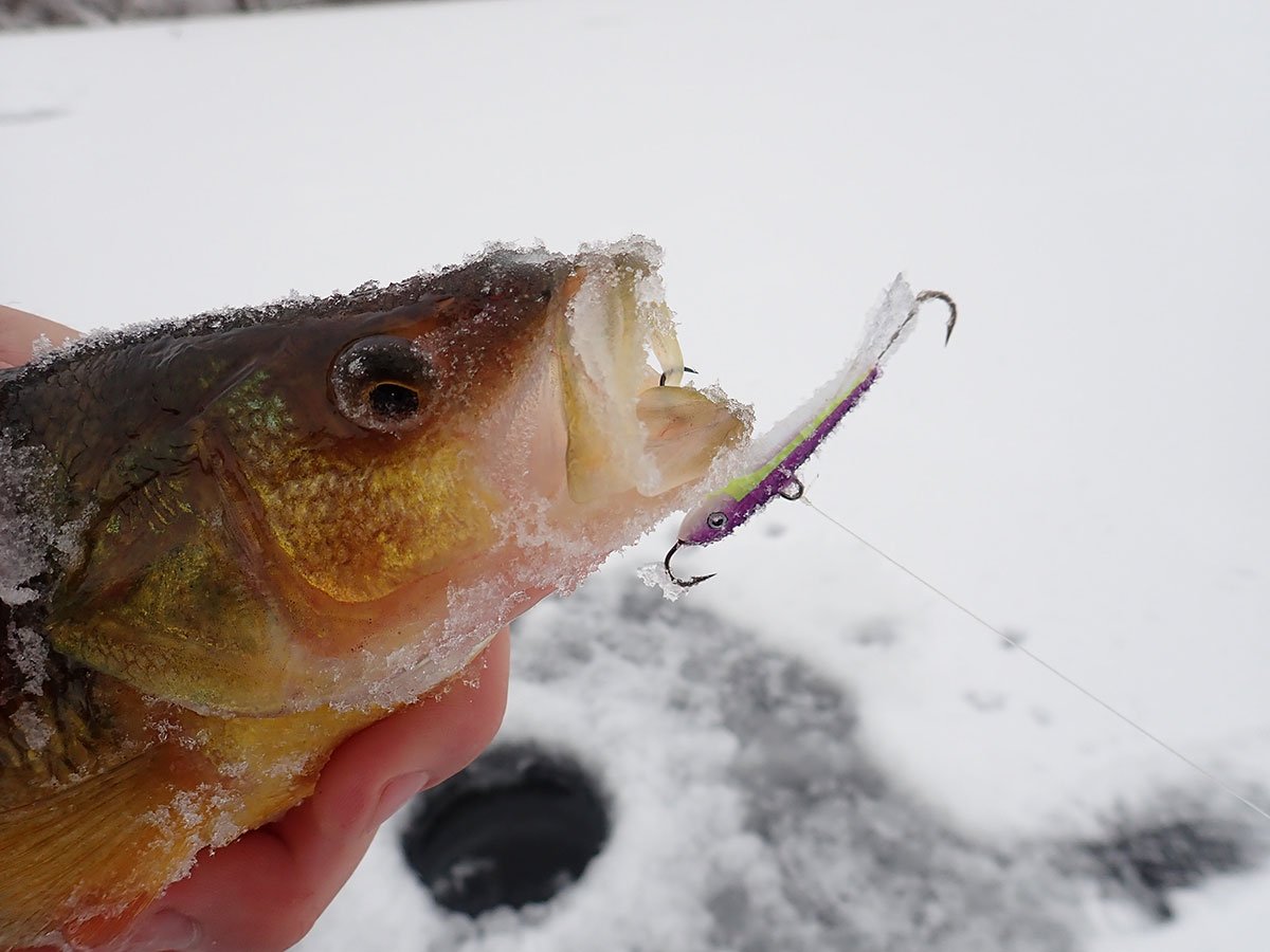 Fire On The Ice: New Jersey Hardwater Options - The Fisherman