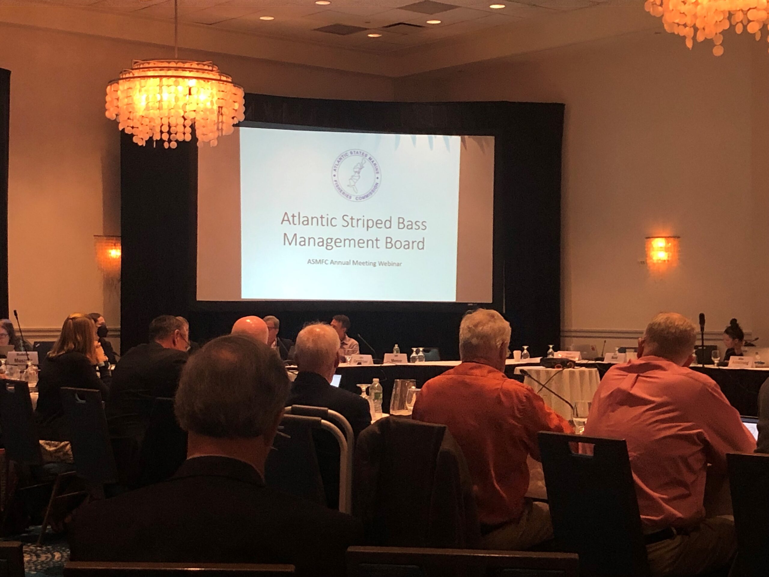 BETWEEN A ROCK & HARD PLACE: ASMFC HOSTS STRIPED BASS WEBINAR ON ...