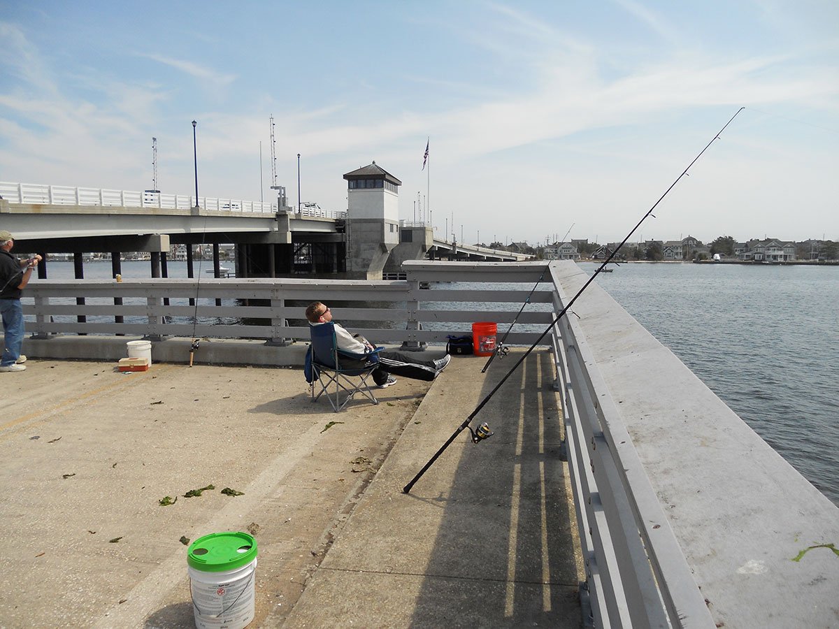 Striped Bass & Winter Flounder Open March 1, Fluke And Sea Bass In May ...