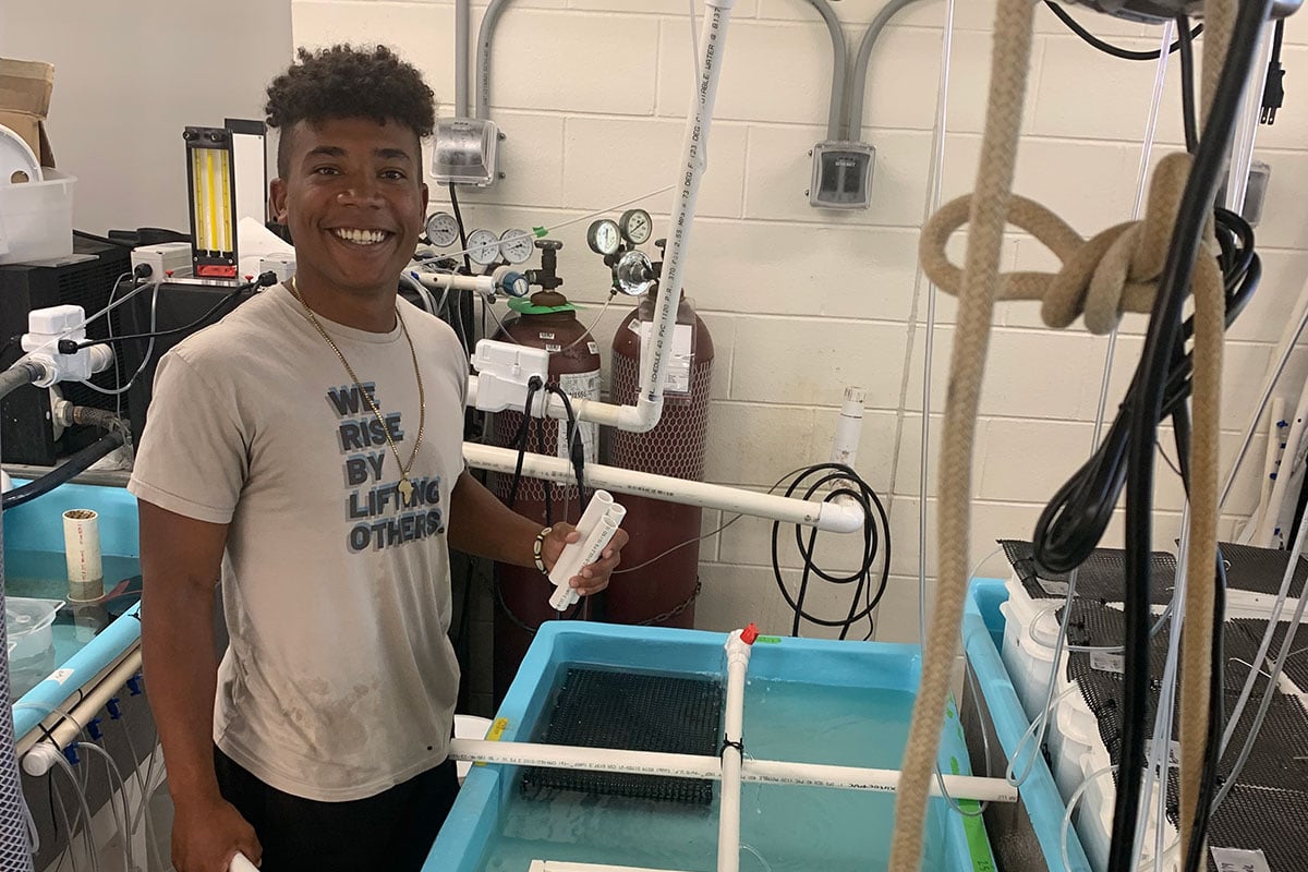 Shell Shock: Blue Claws & Clams - The Fisherman