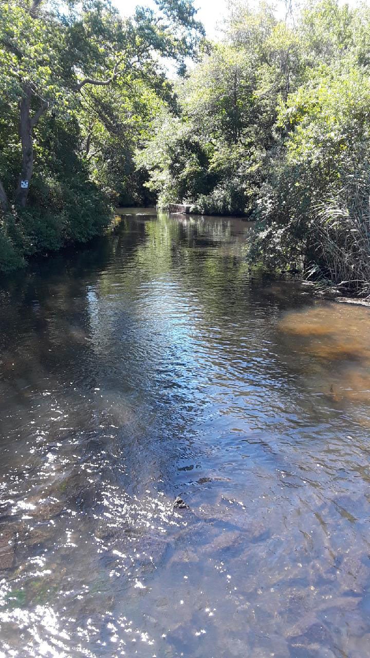 Carlls River: North To South - The Fisherman