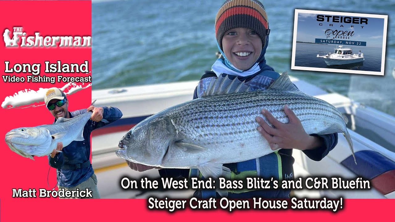 Long Island Video Fishing Forecast - November 20, 2025 - The Fisherman