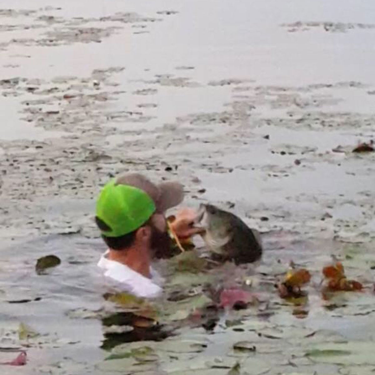 One Fish: The One That Didn’t Get Away - The Fisherman