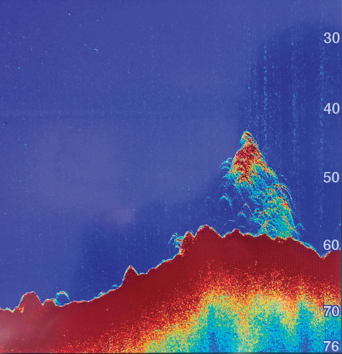 A Seasonal Edge: Black Sea Bass Tactics - The Fisherman