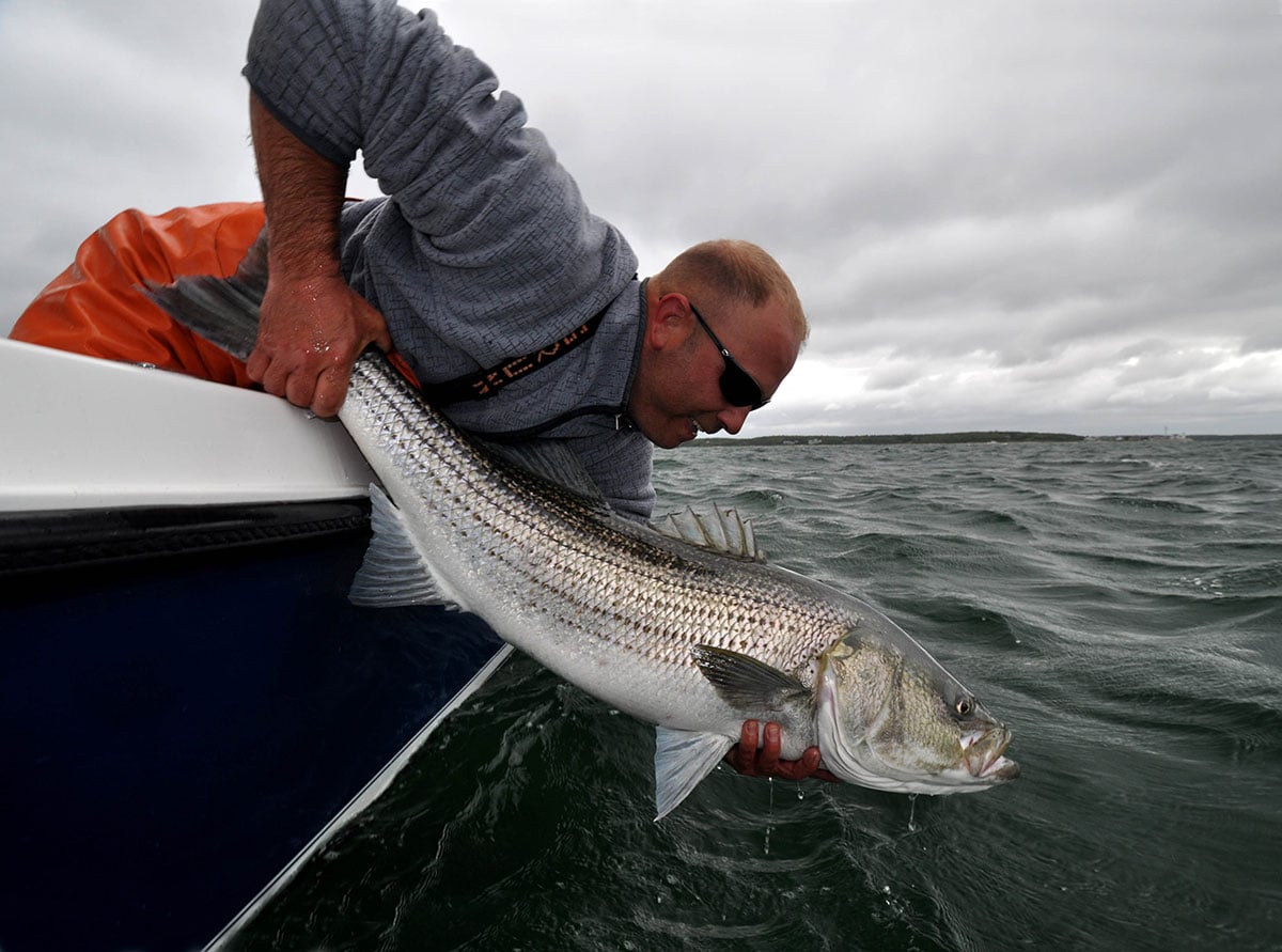 Pro Files: A Conversation With Capt. Corey Pietrasek - The Fisherman