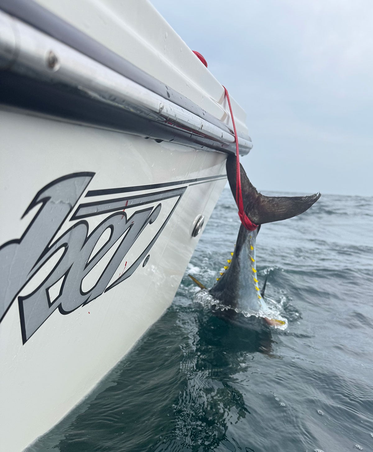 Tuna Prepping: Keys To Making A Successful Trip - The Fisherman